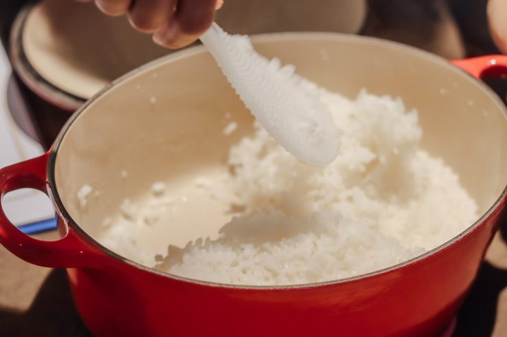 How to Make Katsudon (+5 Katsu Recipes) | Books and Bao