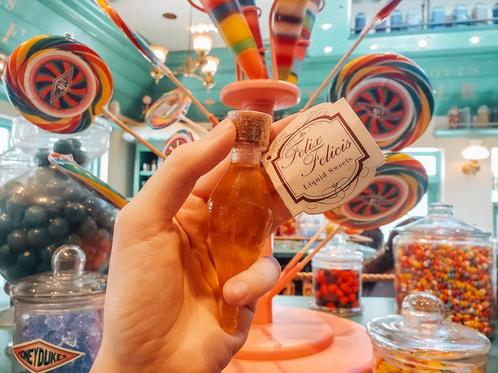 Ultimate Guide to: Wizarding World of Harry Potter (LA) | Books and Bao