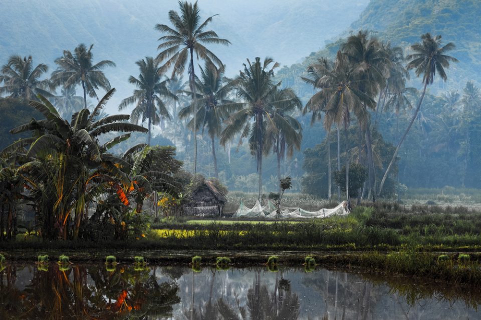 10 Unusual and Unique Places to See in Bali | Books and Bao