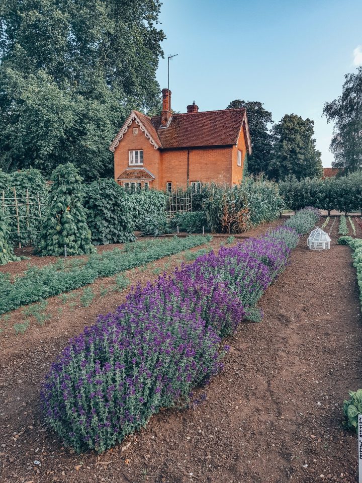 A Perfect Day Trip to Audley End Estate and Gardens | Books and Bao