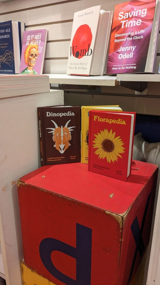 9 Unique Toronto Bookstores You Need to Visit | Books and Bao